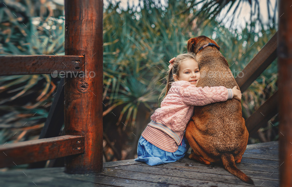 Cute little girl hugs a big red hungarian vizsla dog sitting together ...