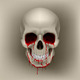Bleeding Skull, Vectors | GraphicRiver