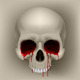 Bleeding Skull, Vectors | GraphicRiver