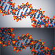 DNA, Motion Graphics | VideoHive