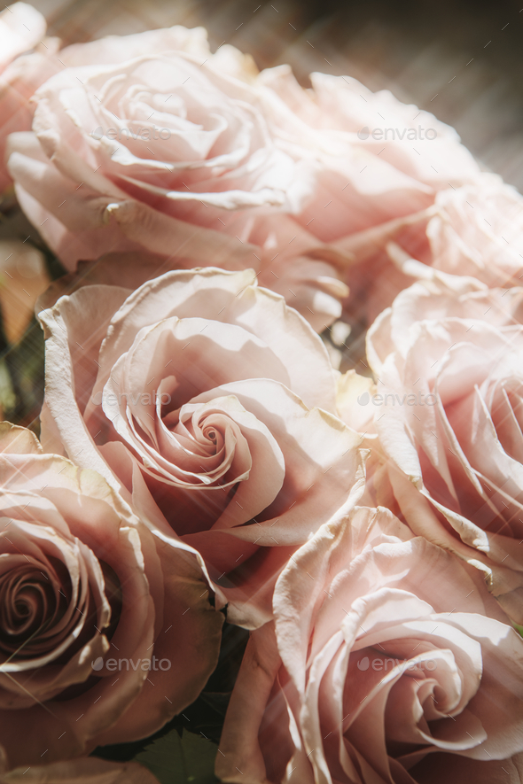 Pink rose flower bouquet design resource Stock Photo by Rawpixel ...