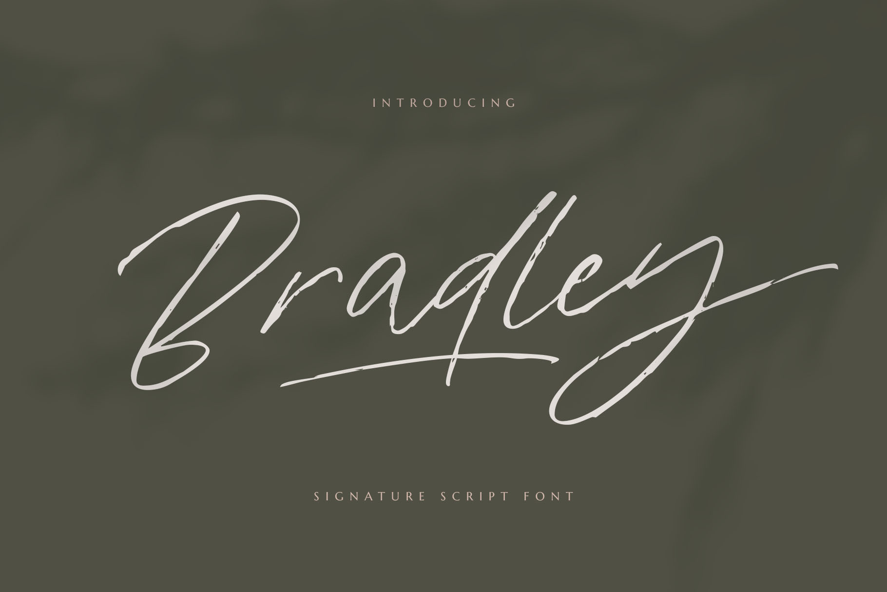 Bradley Signature Script Font, Fonts | GraphicRiver