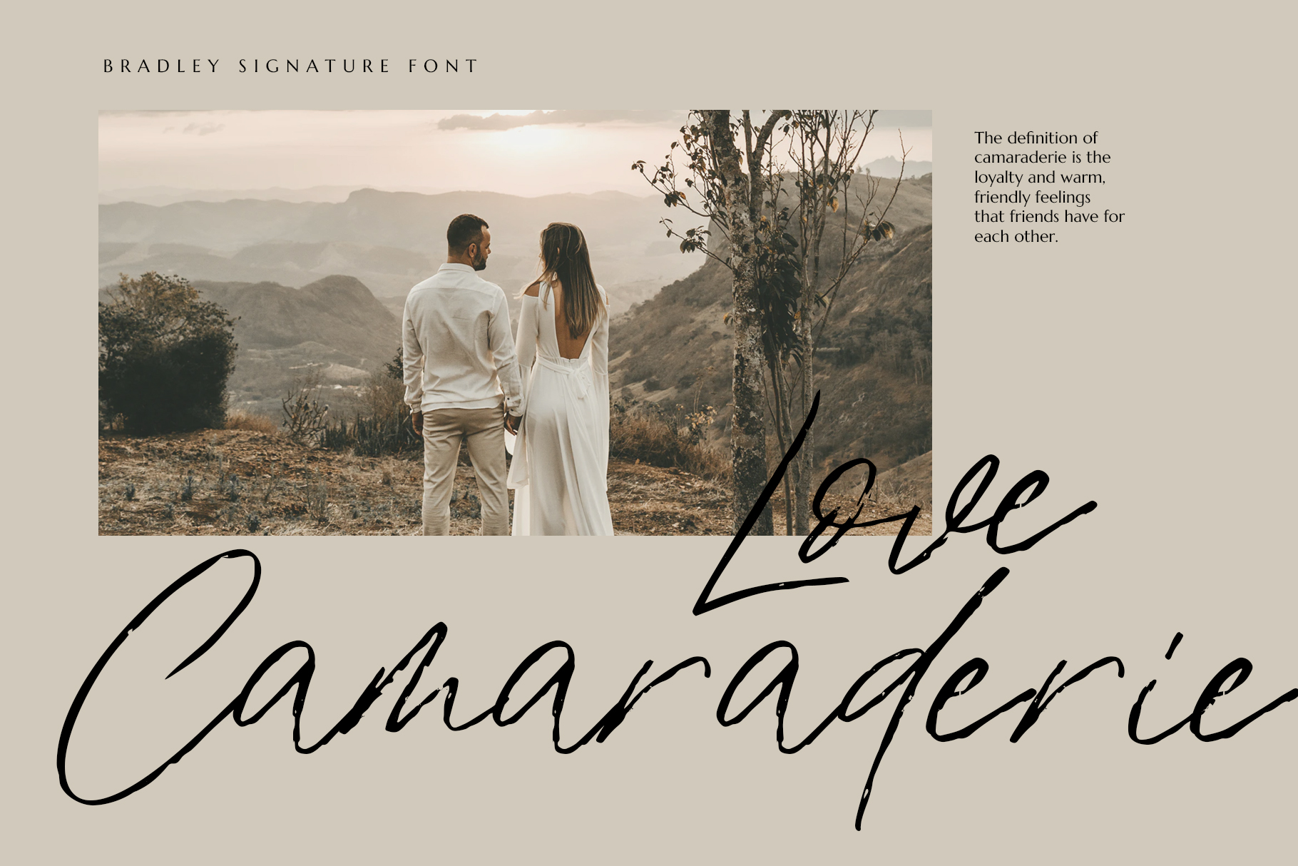 Bradley Signature Script Font, Fonts | GraphicRiver