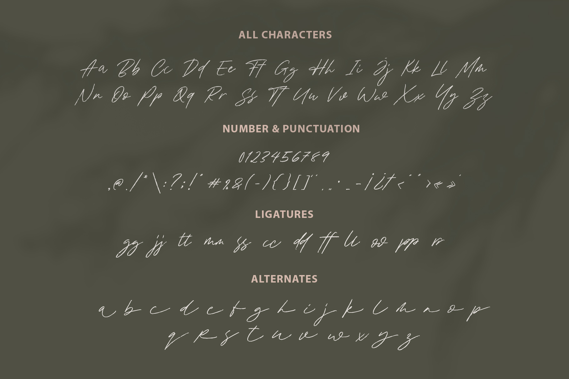 Bradley Signature Script Font, Fonts | GraphicRiver