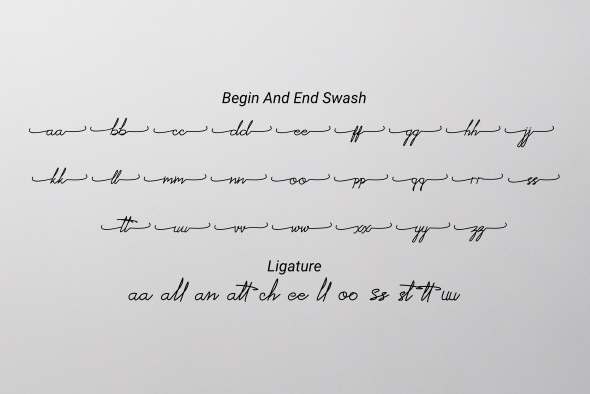 Alessandro Signature, Fonts | GraphicRiver