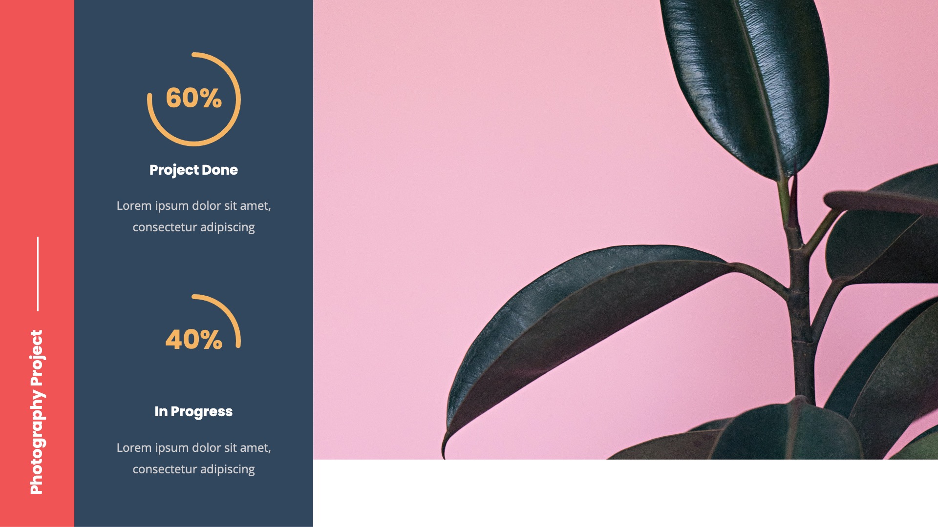 Minimalism Colorful Powerpoint Template, Presentation Templates ...