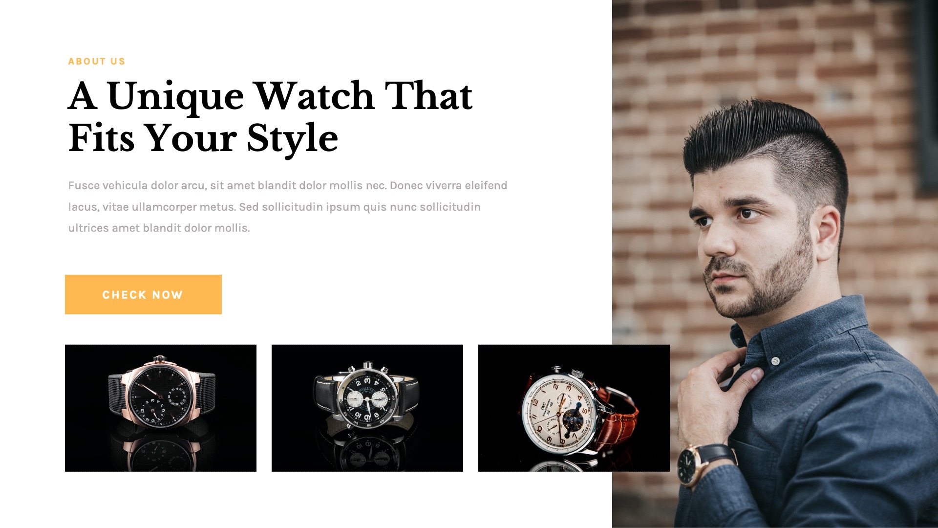ROLAGE - Watch Product Powerpoint Template, Presentation Templates