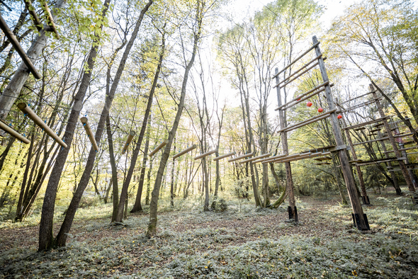 Rope park in the forest Stock Photo by RossHelen | PhotoDune