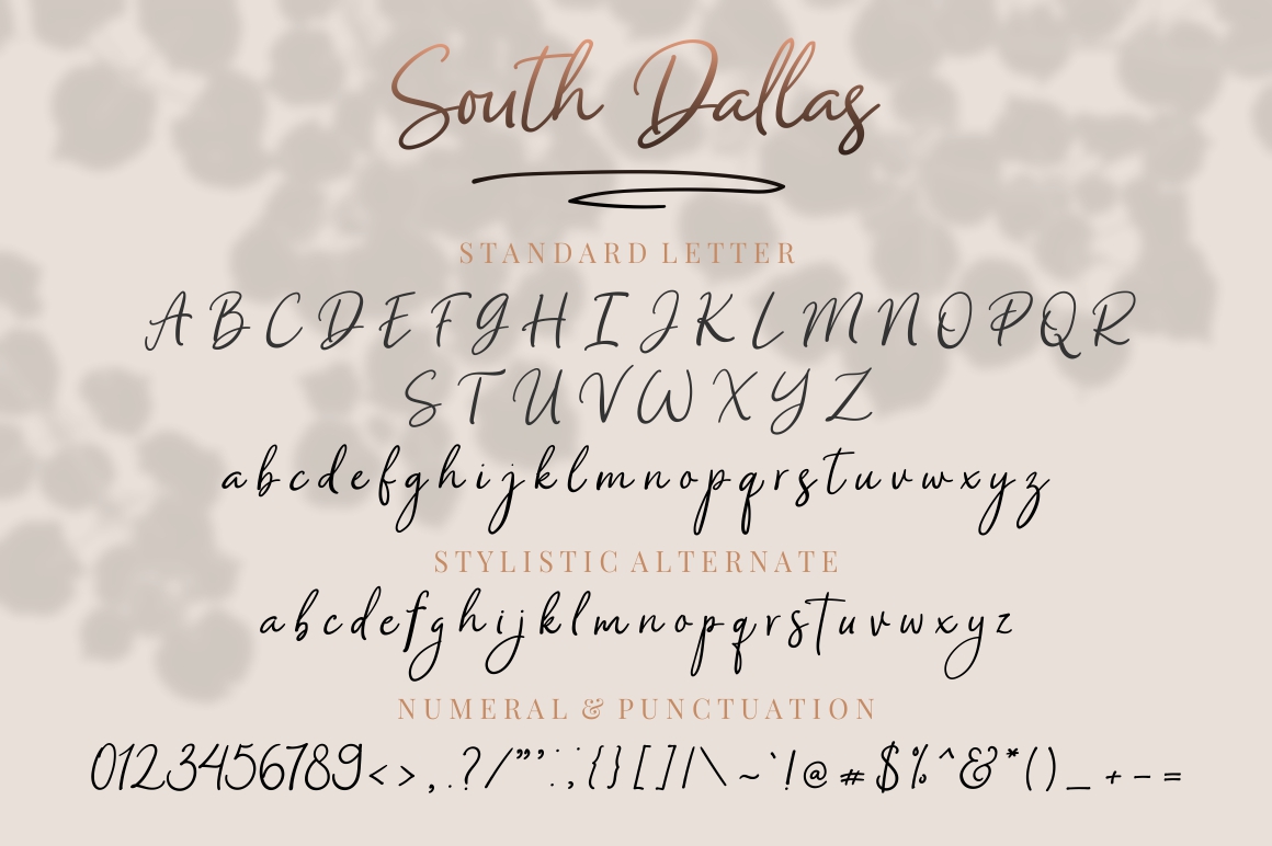 South Dallas, Fonts | GraphicRiver