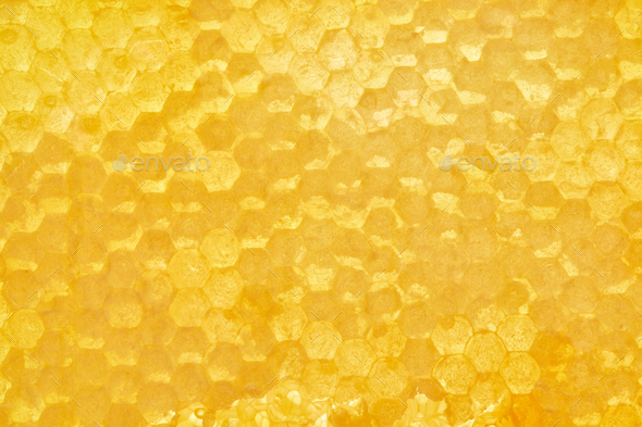 full frame of beeswax with honey as background Stock Photo by ...