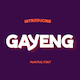 Gayeng, Fonts | GraphicRiver