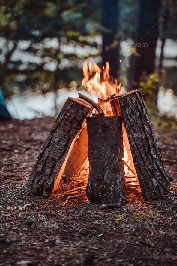 Atmospheric photography of burning bonfire in woods Stock Photo by fxquadro