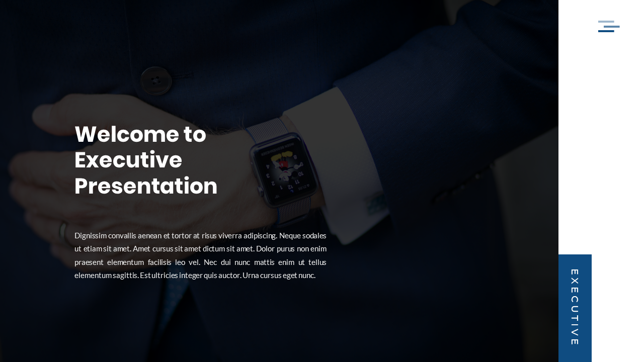 Executive - Business Presentation Template, Presentation Templates