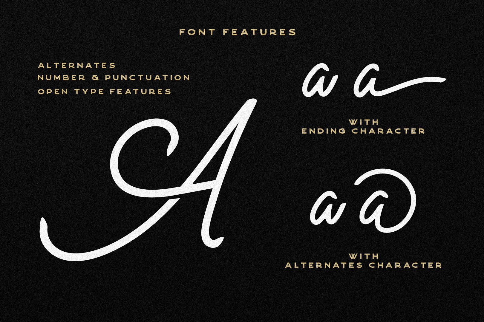 Andromeda Modern Script Font by salsabiylstudios | GraphicRiver