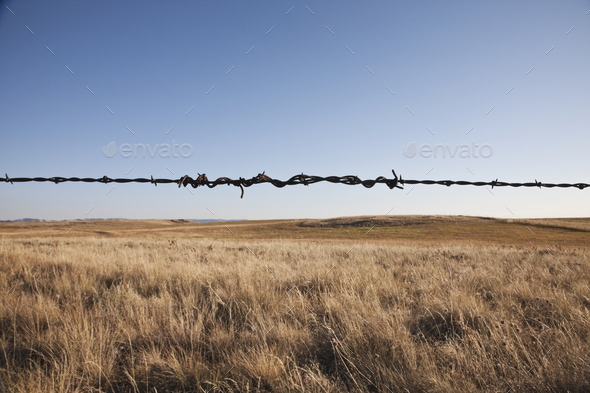 Barbed wire strand in rural landscape. Stock Photo by Mint_Images ...
