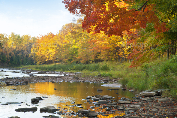 River with rocks near trees in fall color on the Upper Peninsula of ...