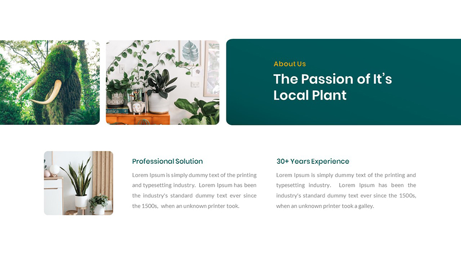 Organica - Green Minimal Powerpoint Template, Presentation Templates