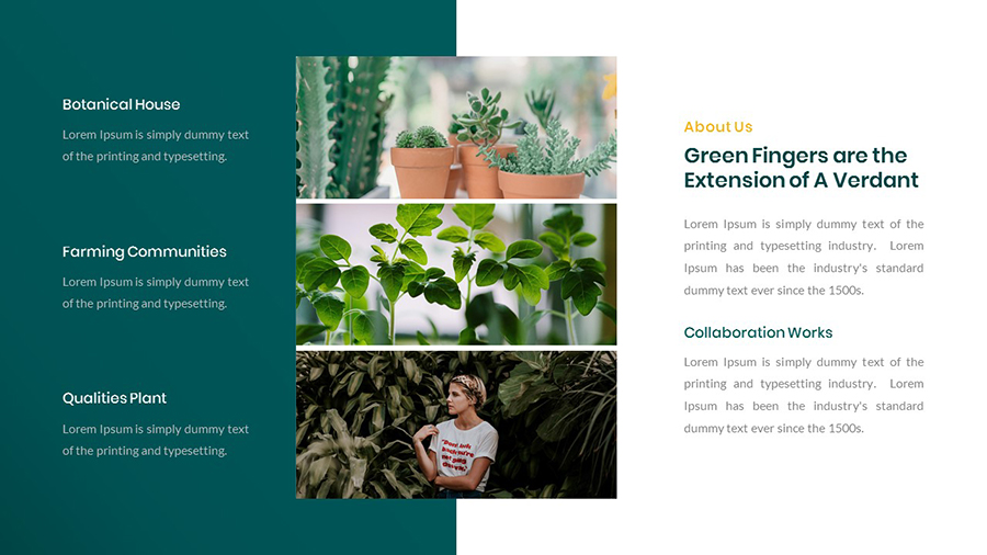 Organica - Green Minimal Powerpoint Template, Presentation Templates
