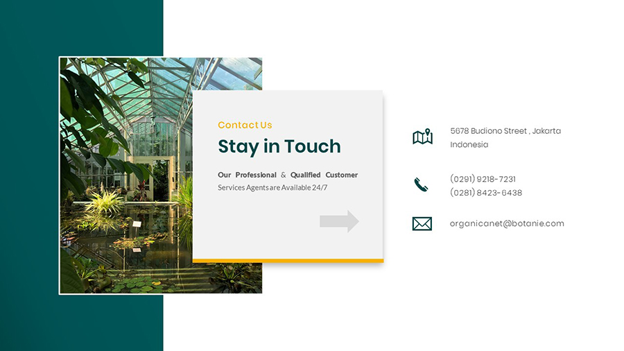 Organica - Green Minimal Powerpoint Template, Presentation Templates