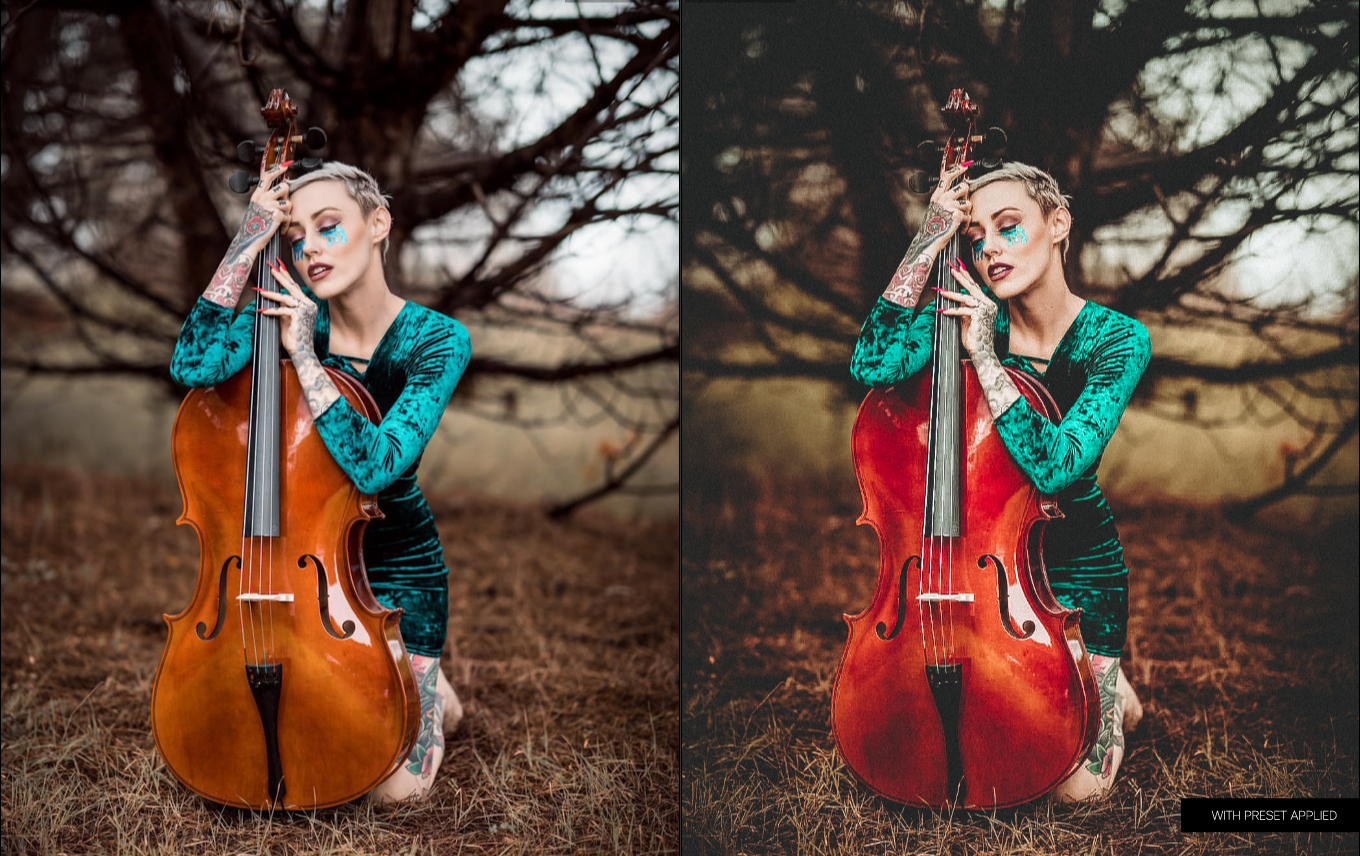 Portrait Filter Lightroom Presets Collection, Add-ons | GraphicRiver