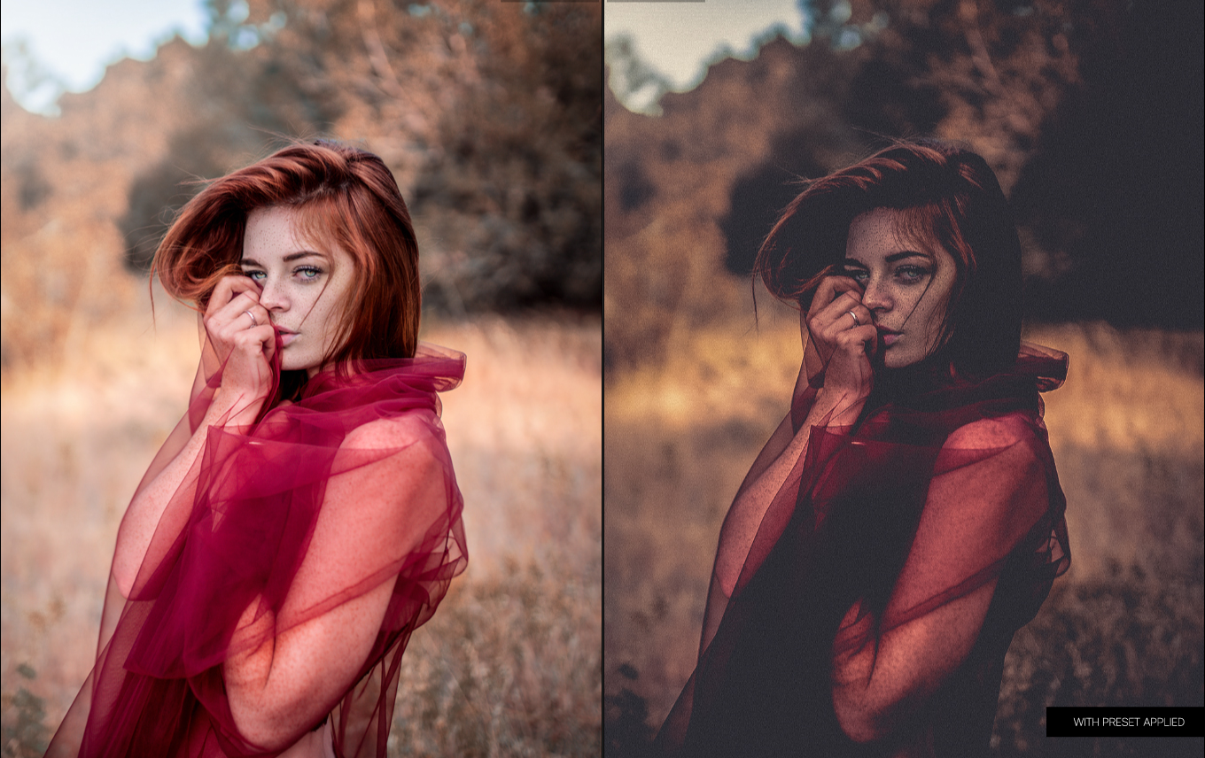 Portrait Filter Lightroom Presets Collection, Add-ons | GraphicRiver