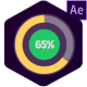 Infographic Pie Chart, After Effects Project Files | VideoHive
