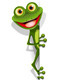 Jolly green frog, Vectors | GraphicRiver