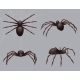 Spider Realistic, Vectors | GraphicRiver