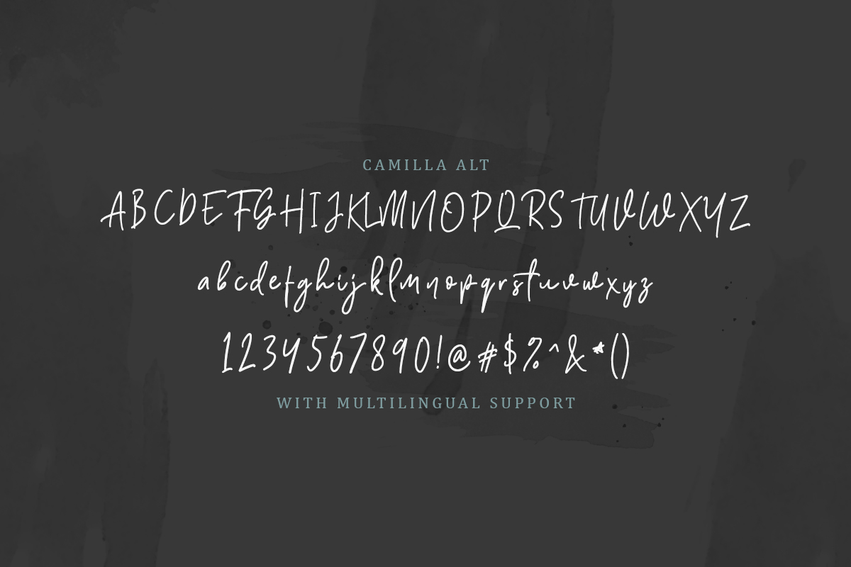 Camilla - Signature Script, Fonts | GraphicRiver