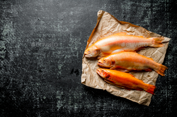 Raw trout fish on paper. Stock Photo by Artem_ka2 | PhotoDune