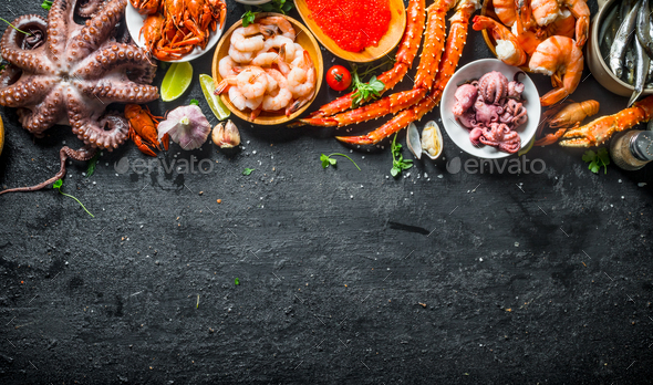 The range of different seafood. Stock Photo by Artem_ka2 | PhotoDune