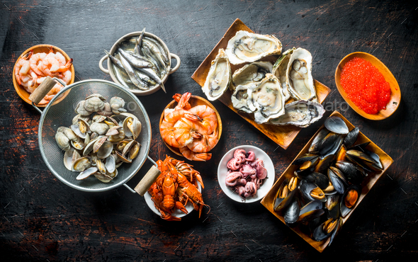 The range of different types of seafood. Stock Photo by Artem_ka2 ...