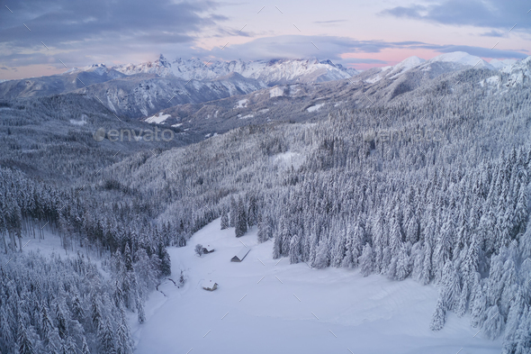Winter in the mountain forest landscape Stock Photo by dreamypixel