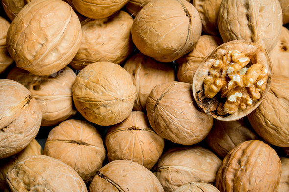 Walnut in shell texture . Stock Photo by Artem_ka2 | PhotoDune