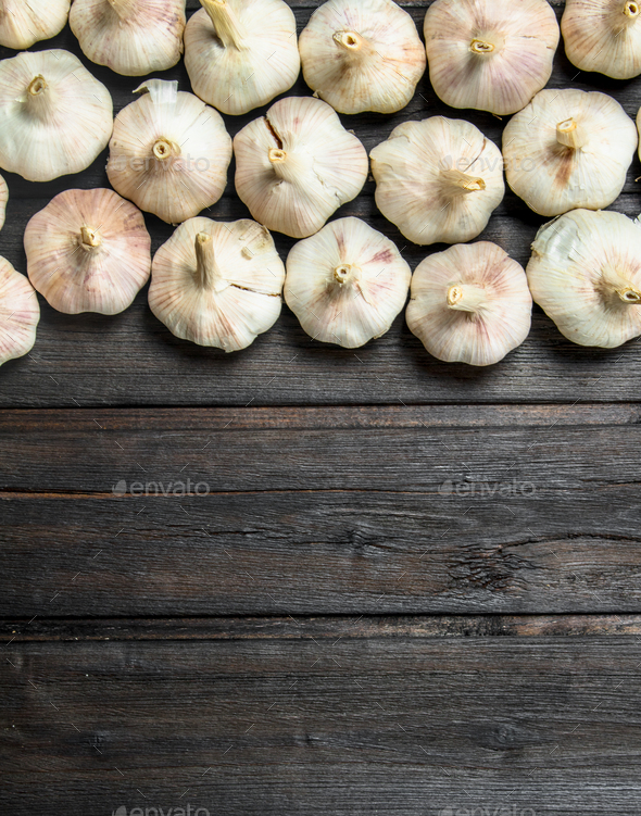 Fresh fragrant garlic. Stock Photo by Artem_ka2 | PhotoDune