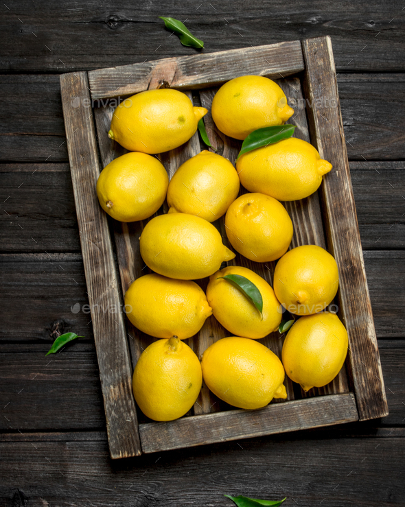 Ripe lemons in the tray. Stock Photo by Artem_ka2 | PhotoDune