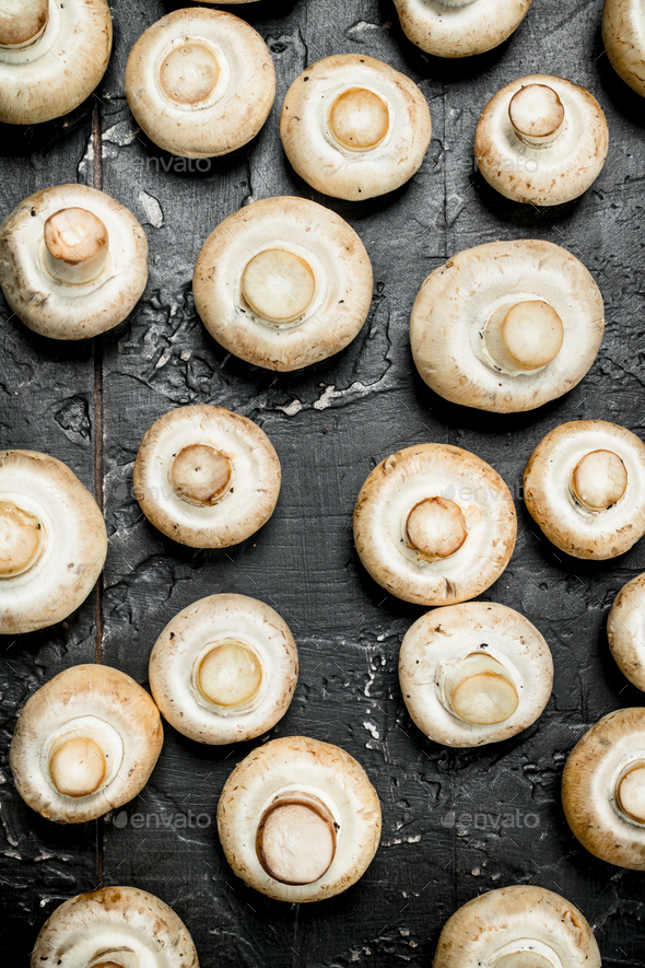 Fresh fragrant mushrooms. Stock Photo by Artem_ka2 | PhotoDune