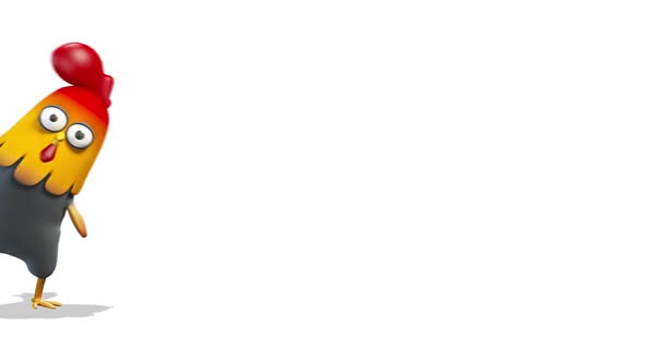 Rooster Looks Out From The Left Side on White Background, Motion Graphics