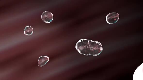 3D Medical animation of macrophage and cell, Motion Graphics | VideoHive