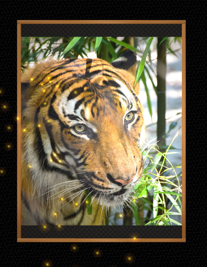 3D Sliding Puzzle - Cross Platform Realistic 3D Puzzle Game by raizensoft