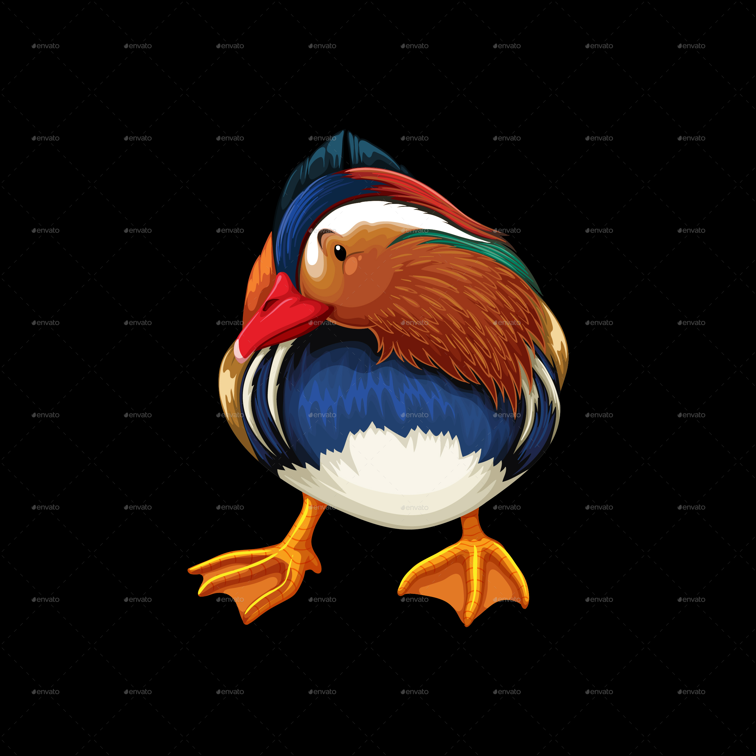 Duck Cartoon, Vectors | GraphicRiver