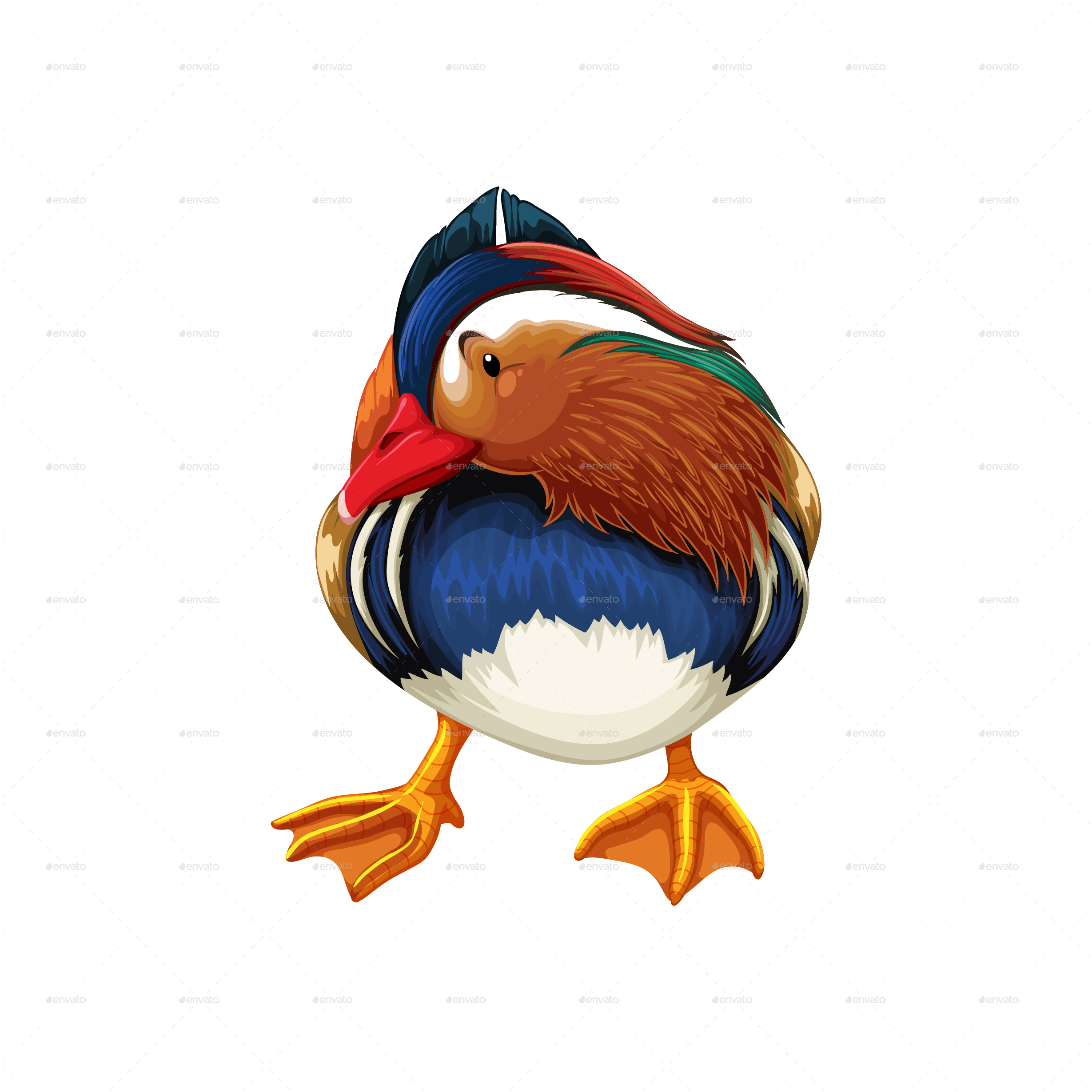 Duck Cartoon, Vectors | GraphicRiver