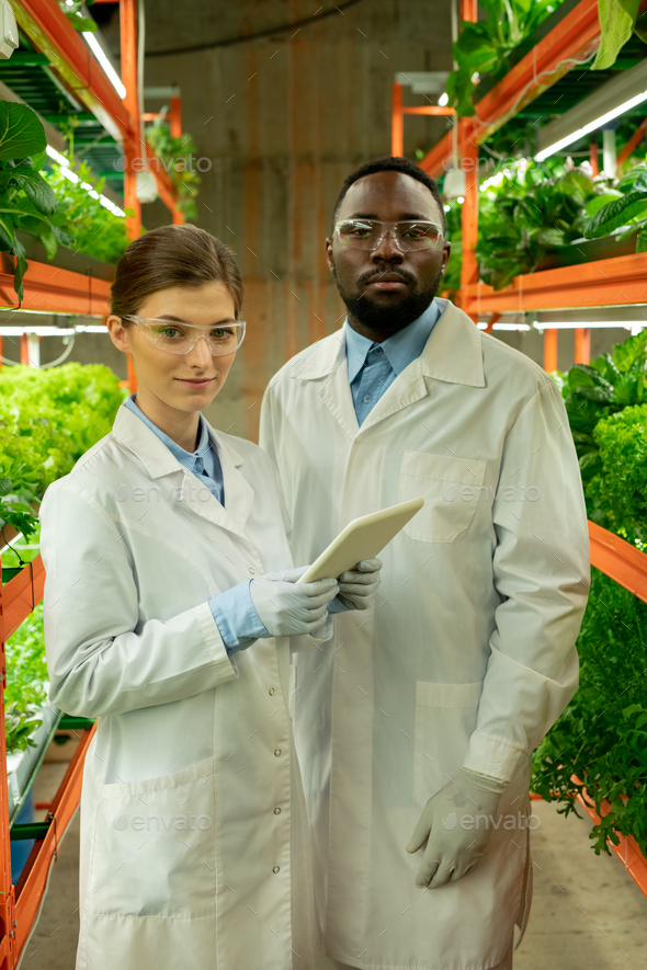 Two young confident researchers standing between shelves with green ...