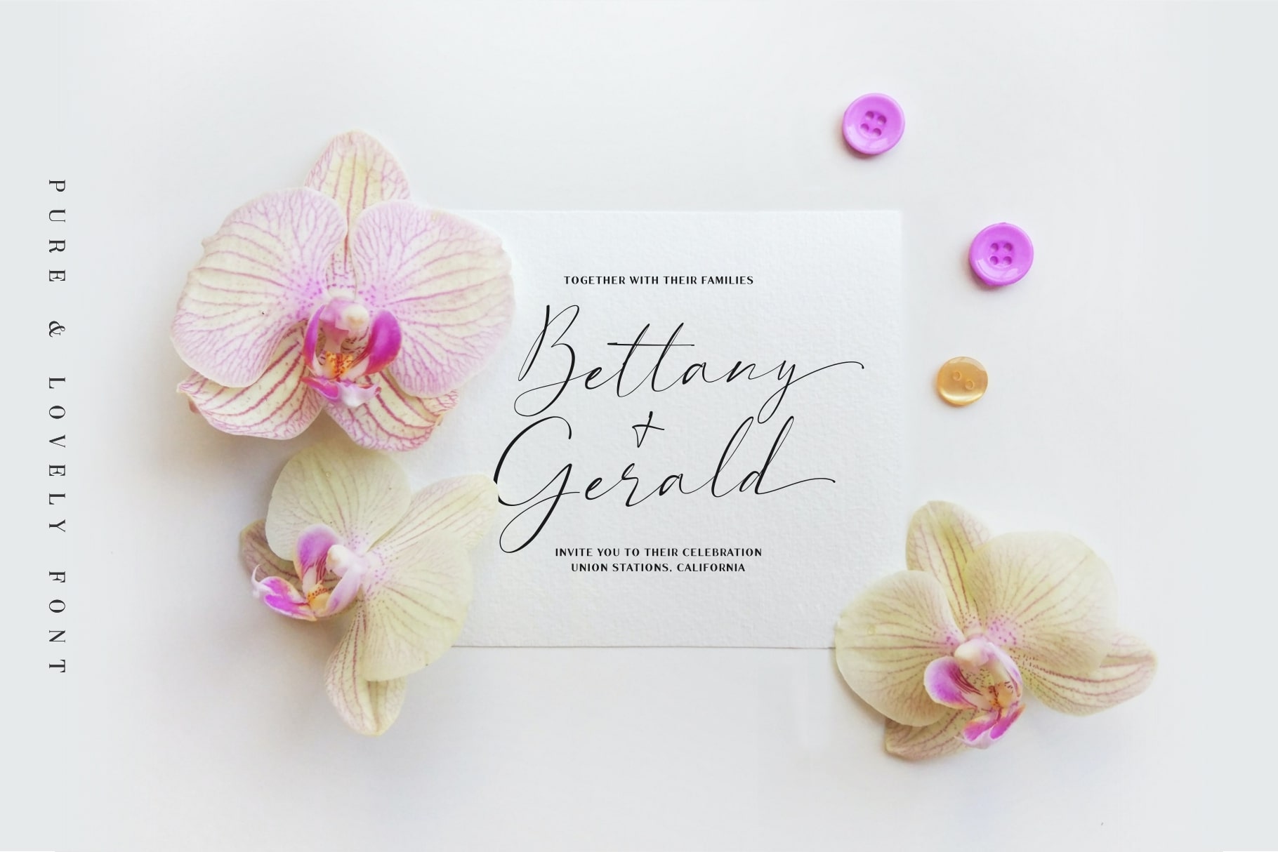 Pure & Lovely - pretty calligraphy by javapep | GraphicRiver