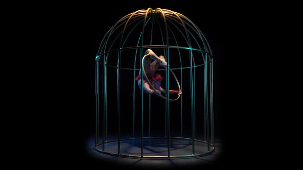Aerial Acrobatics on a Spinning Hoop in a Cage. Black Background, Stock ...