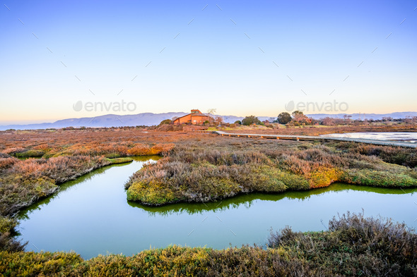 Tidal marshes in South San San Francisco Bay Stock Photo by ...