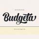 Budgeta Script, Fonts | GraphicRiver