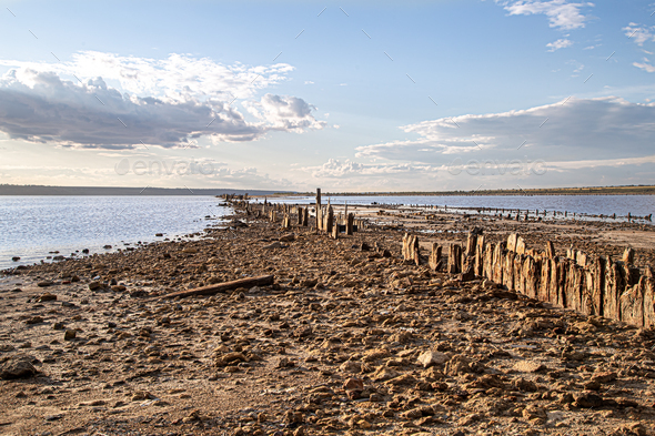 Wooden columns protrude from the kuyalnitsky estuary Stock Photo by puhimec