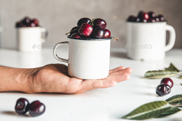 Red ripe cherries in the hand over white background Stock Photo by ...