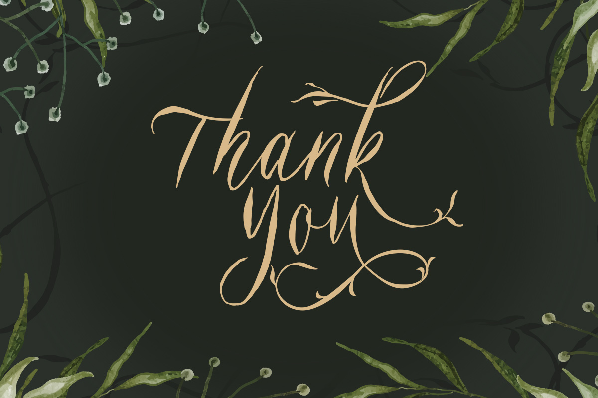 Belukar - Unique Display Script, Fonts | GraphicRiver